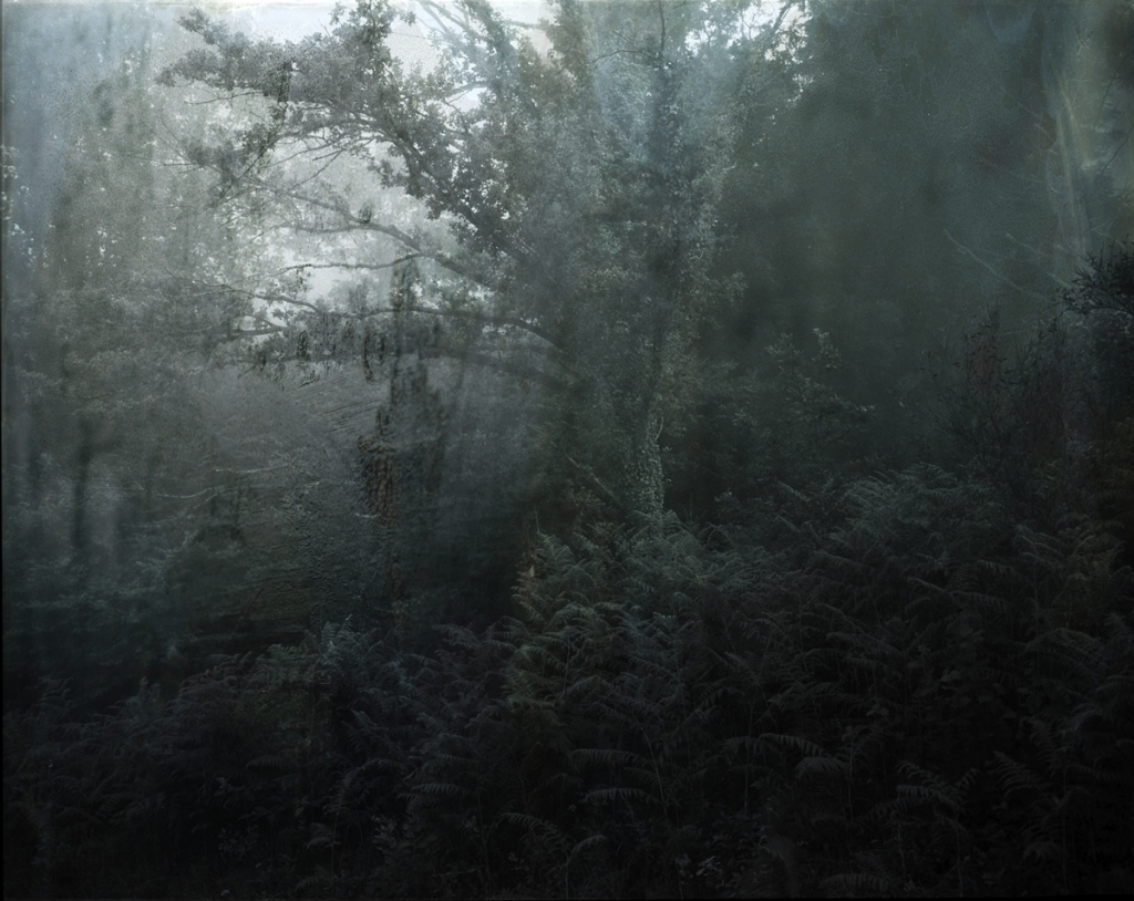 Site d'Aurélia Frey – Apnée